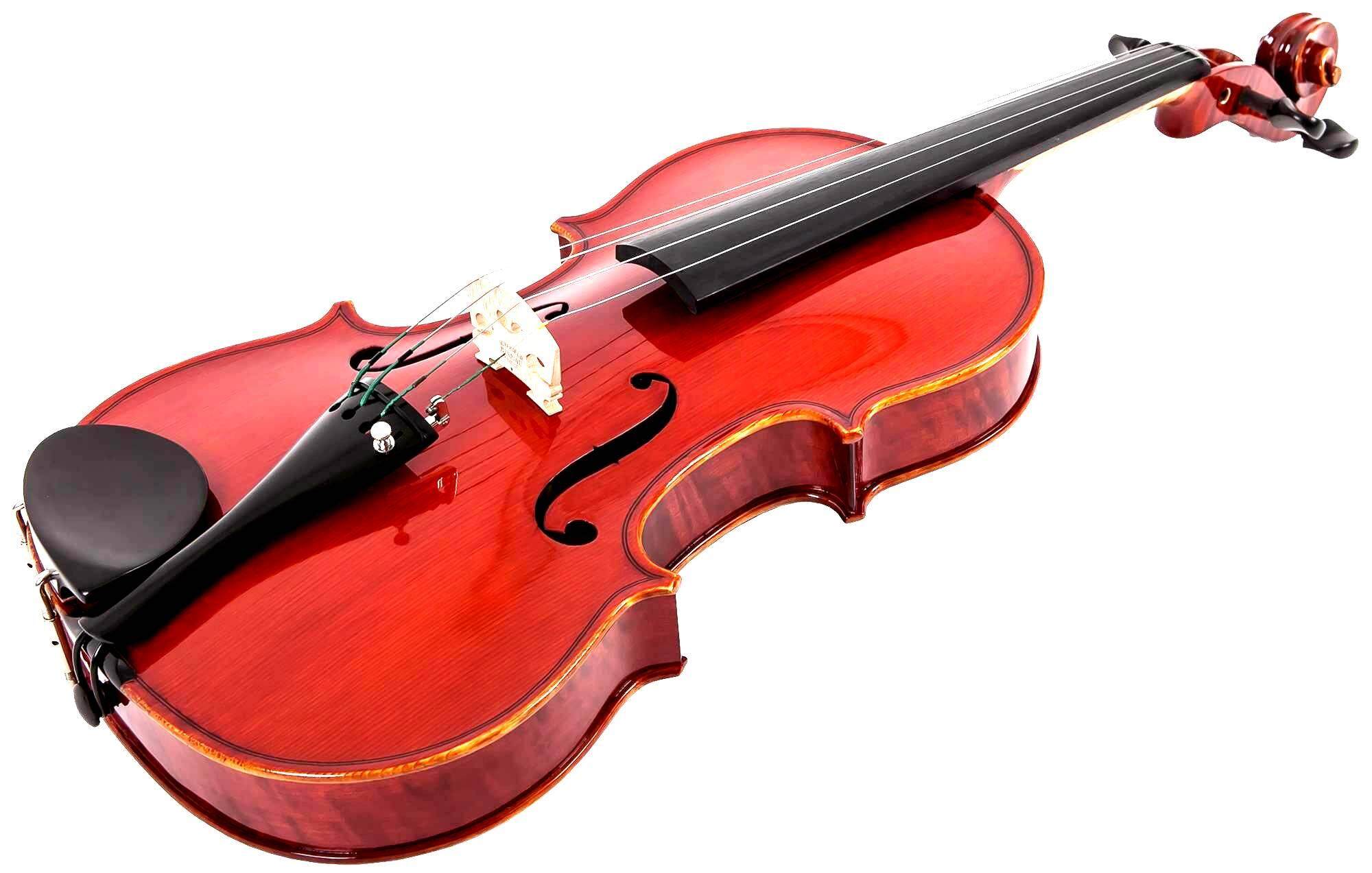 Violins Made In Japan at Sandra Raines blog