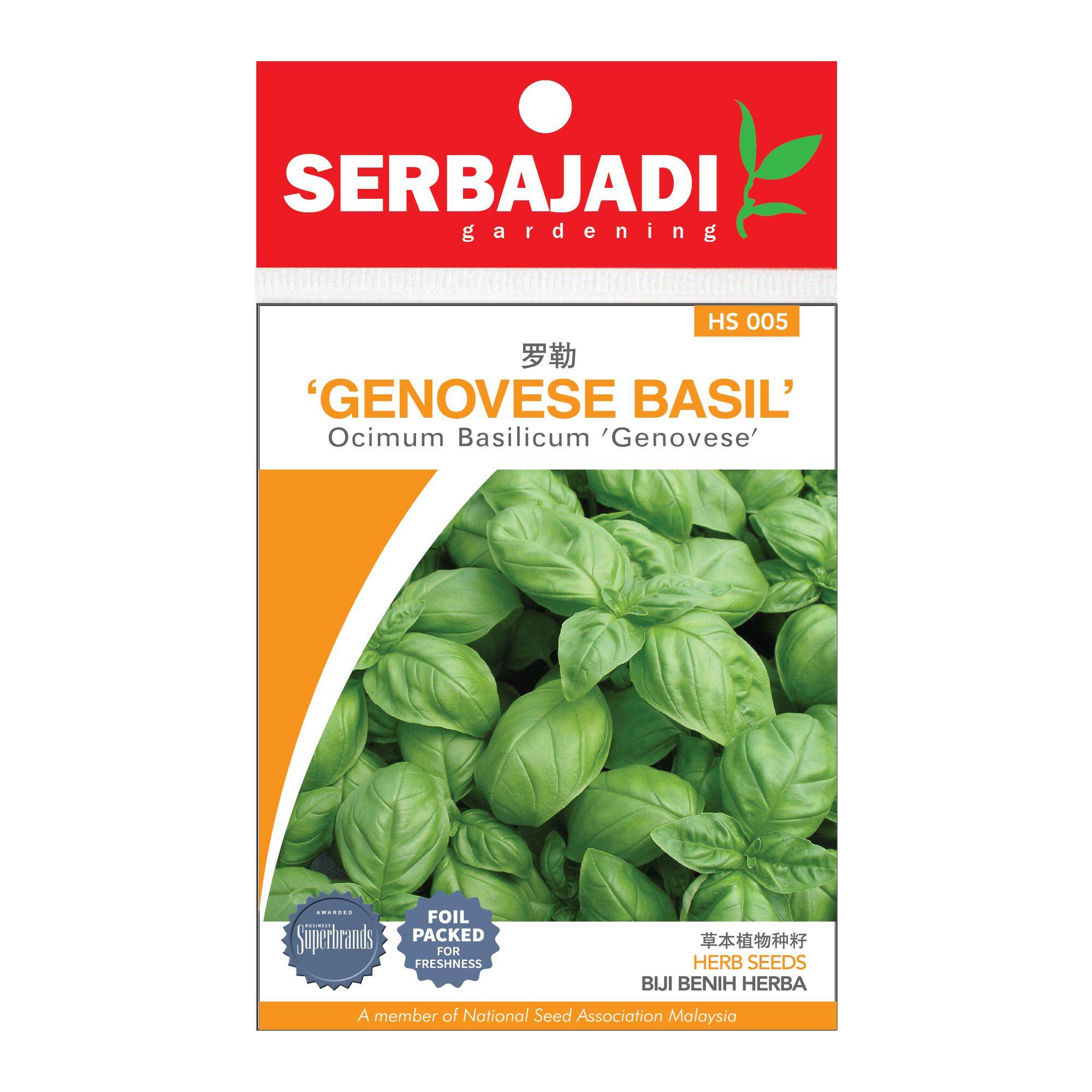 Serbajadi x GardenWell Genovese Basil | Herb Seed | Aromatic Leaves ...