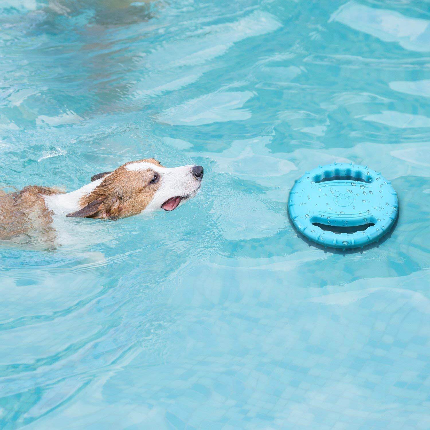 Dog Flying Disc,Indestructible Rubber Dog Flying Disc, Squeaky Float ...