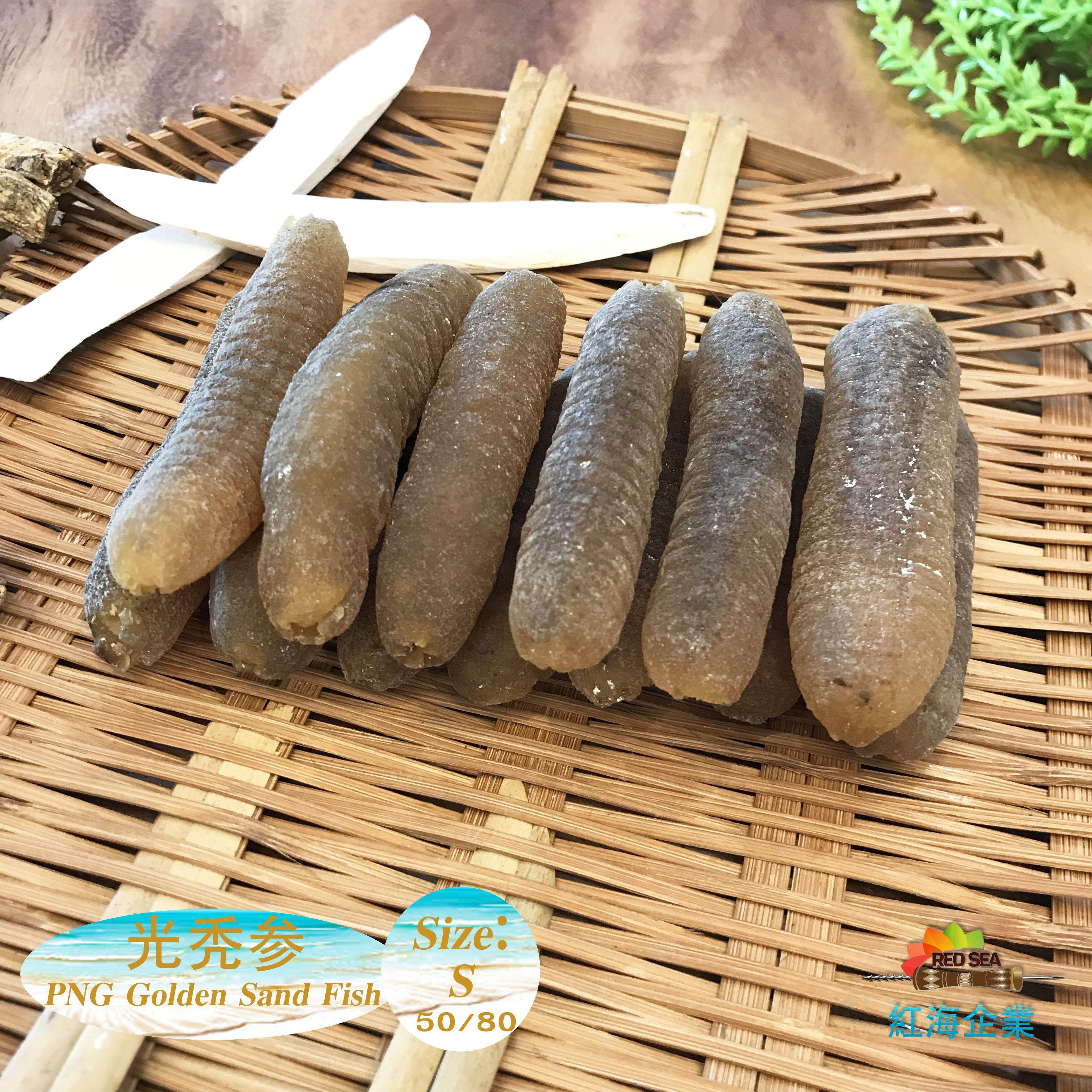 Red Sea SIZE:S Solomon Golden Sand Fish 所罗门金沙参/光秃参【Sea Cucumber 海参 ...