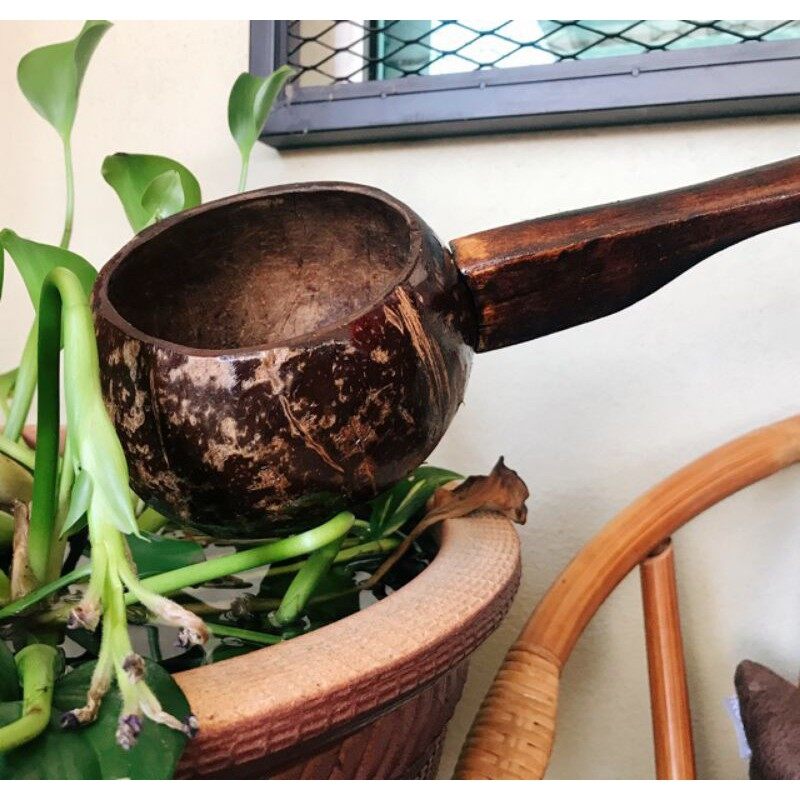 Malaysia Stock GAYUNG TRADISIONAL DARI TEMPURUNG KELAPA | Lazada