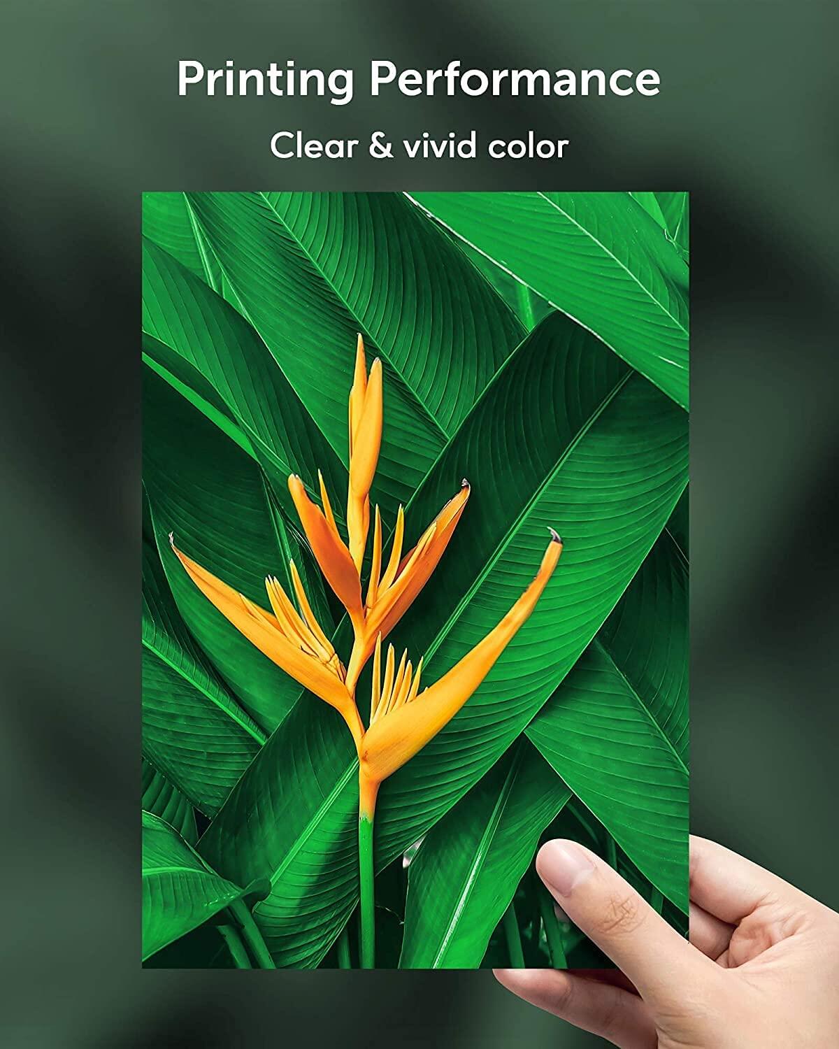 Befon PG245 PG 245 XL Ink Cartridges Remanufactured Pixma IP2820 MX 492 ...