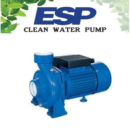 ESP Clean Water Pump ESP300 ESP400(Single Phase/Three Phase) | Lazada
