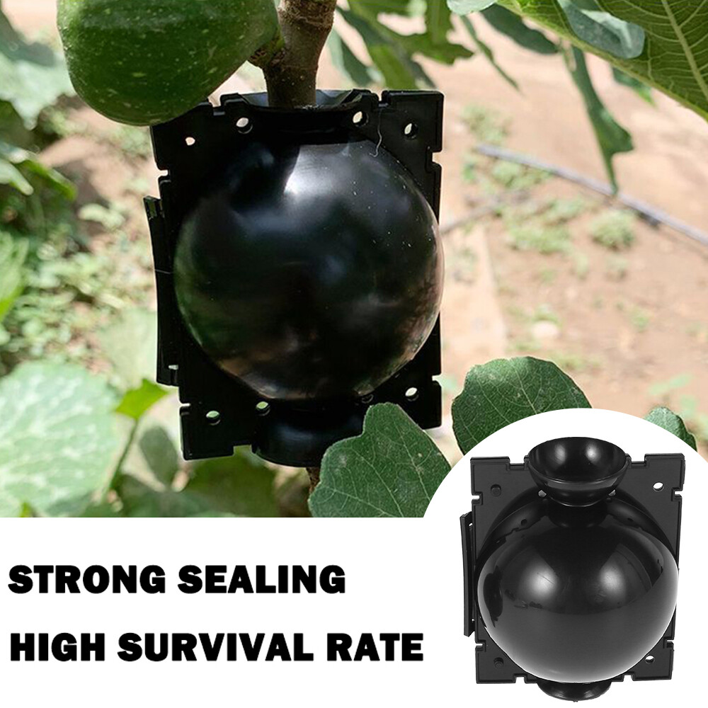 Noon-Home Plant Root Growing Box Grafting Ball Breeding Case Gardening ...