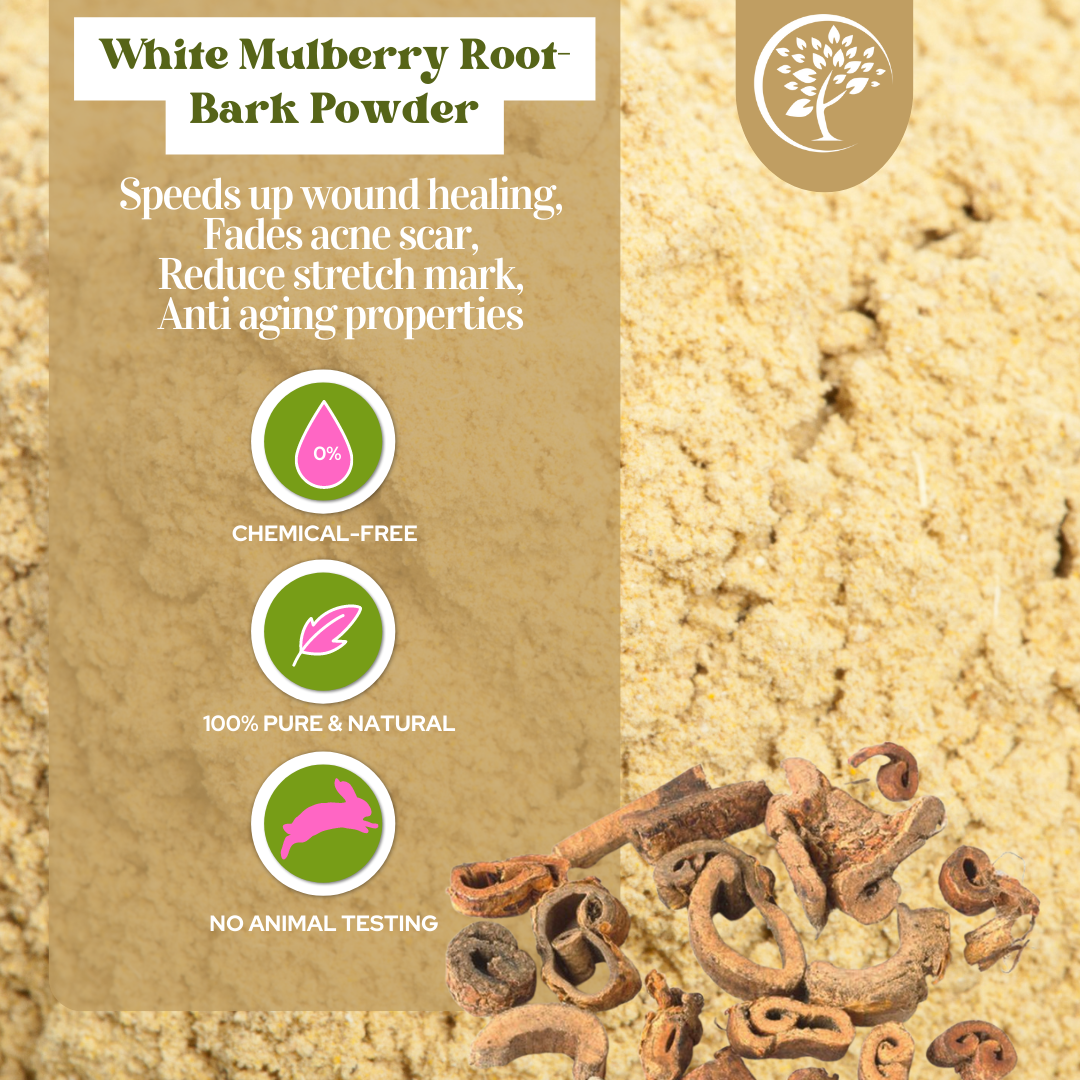 White Mulberry Root-Bark Powder Extract - Your Natural Scar Lightening ...