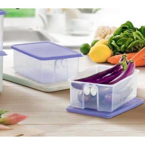 Tupperware Fridgesmart Medium 1.6L | Lazada