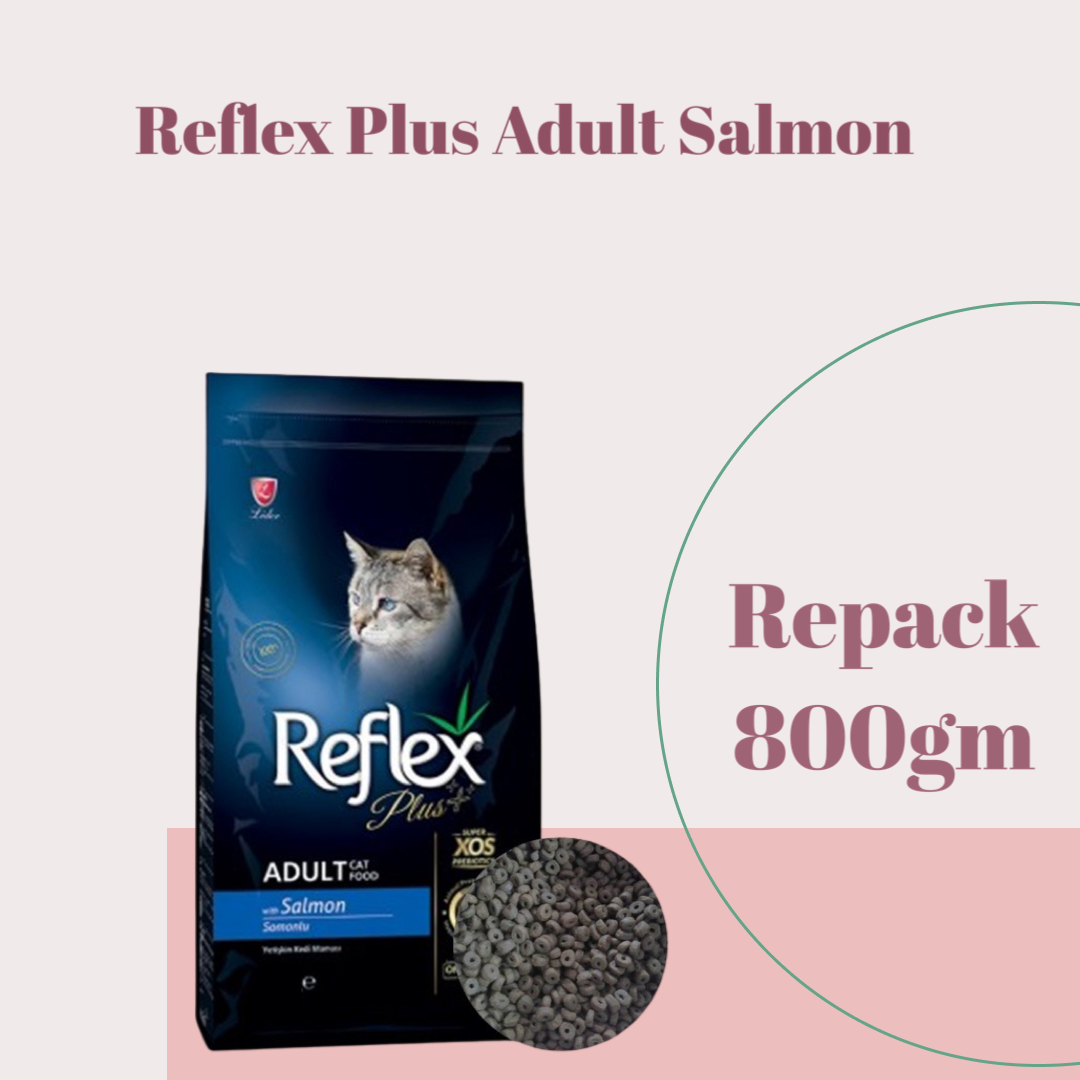 Original Reflex Plus Premium Cat Food Repack 800GM (Kitten Adult Salmon ...