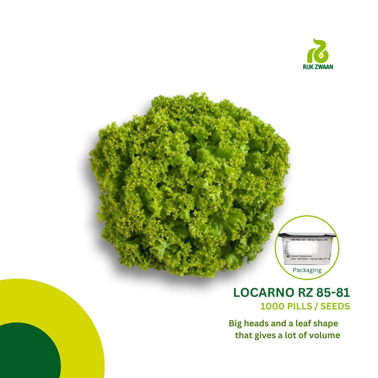 Rijk Zwaan LOCARNO RZ (85-81) Lettuce Leaf Seeds (1000 pills) | Lazada
