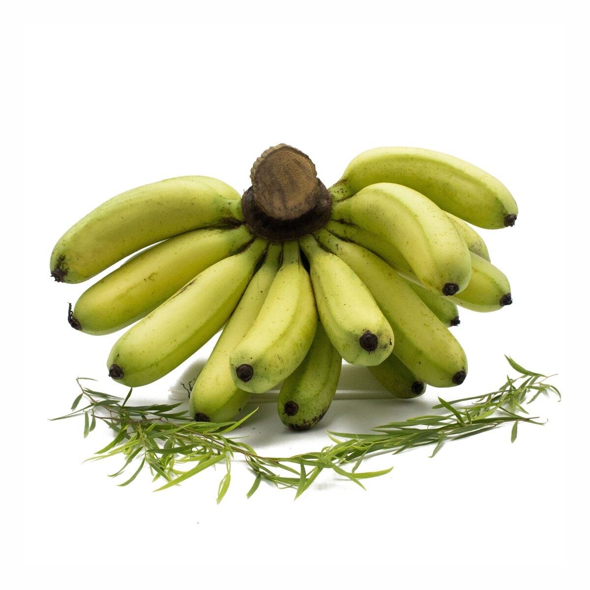 Organic Banana Berangan (Pisang Berangan) | Lazada