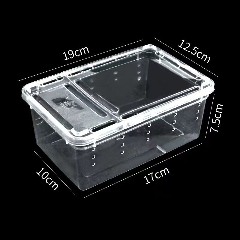 Silkworm Feeding Box Tarantula enclosure Feeding Box Reptile Cage ...