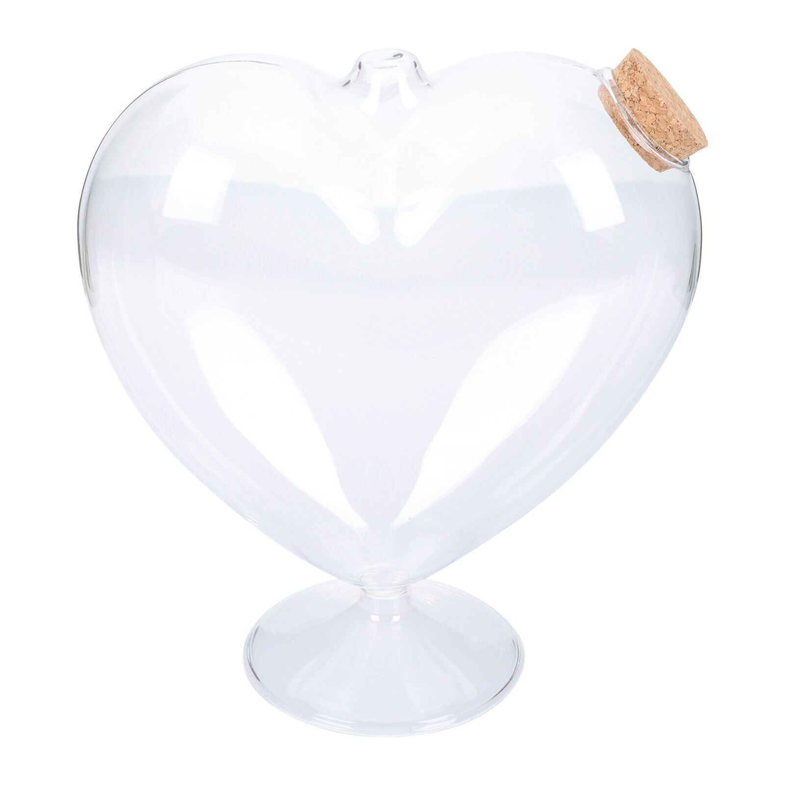 Plants Showing Bottle Heart Containers Desktop Flower Pot Glass ...