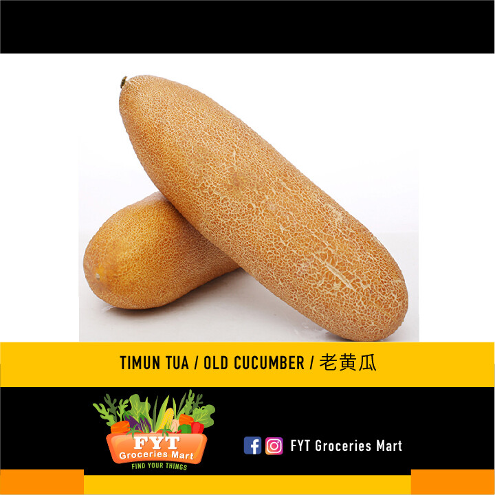 FYT GROCERIES - VEGETABLES - TIMUN TUA/ OLD CUCUMBER/ 老黄瓜 (500g above ...