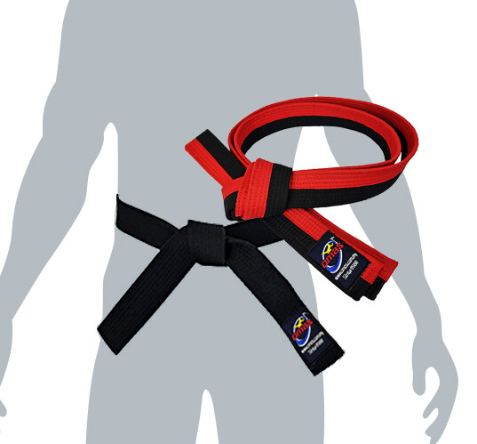 OMAS Martial Arts Poom Black / Black Belt AB1018 | Lazada