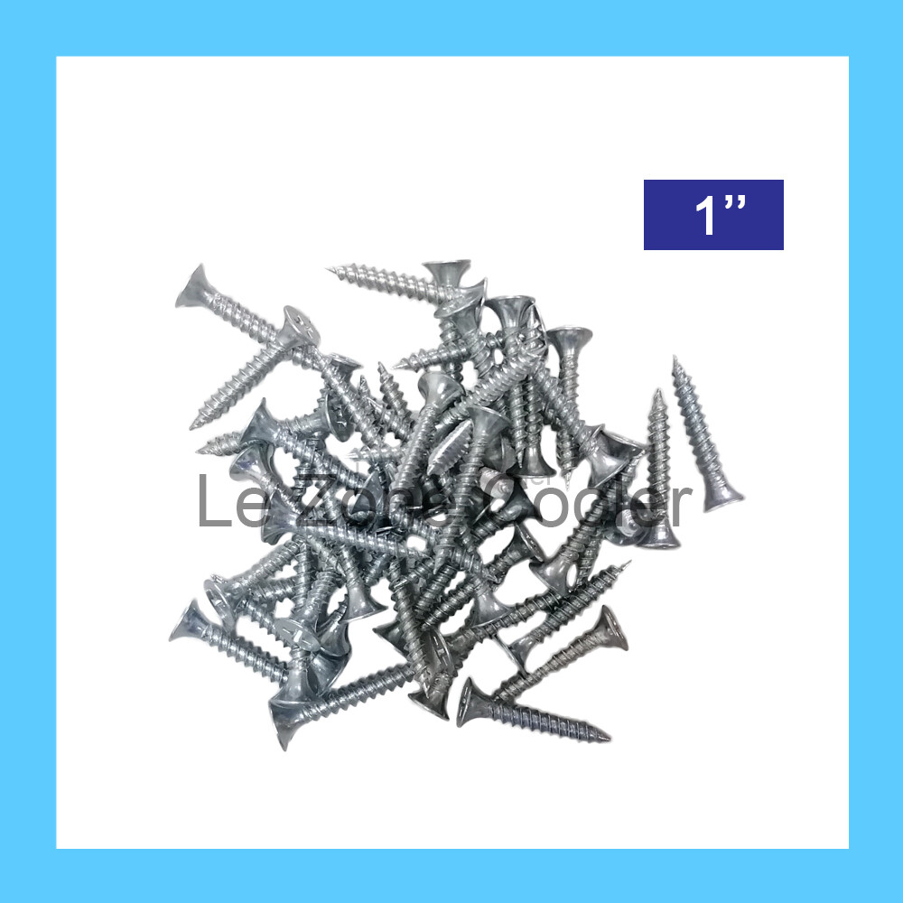 MK Drywall Screw - 1'' (30 pcs) | Lazada