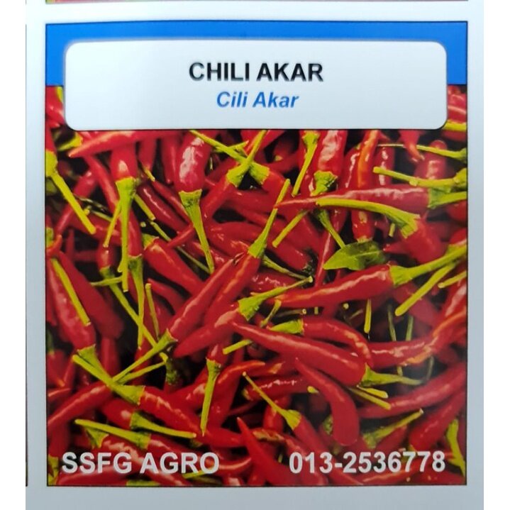 BENIH CILI AKAR @ AKAR CHILI (50 BIJI) | Lazada