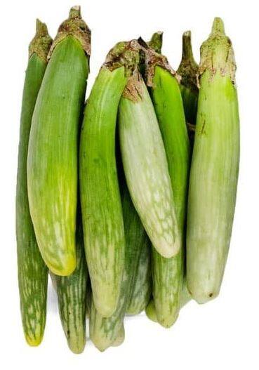 biji benih terung telunjuk(Boleh tanam dalam pasu) | Lazada