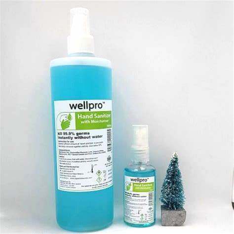 Wellpro Hand Sanitizer 500ml | Lazada