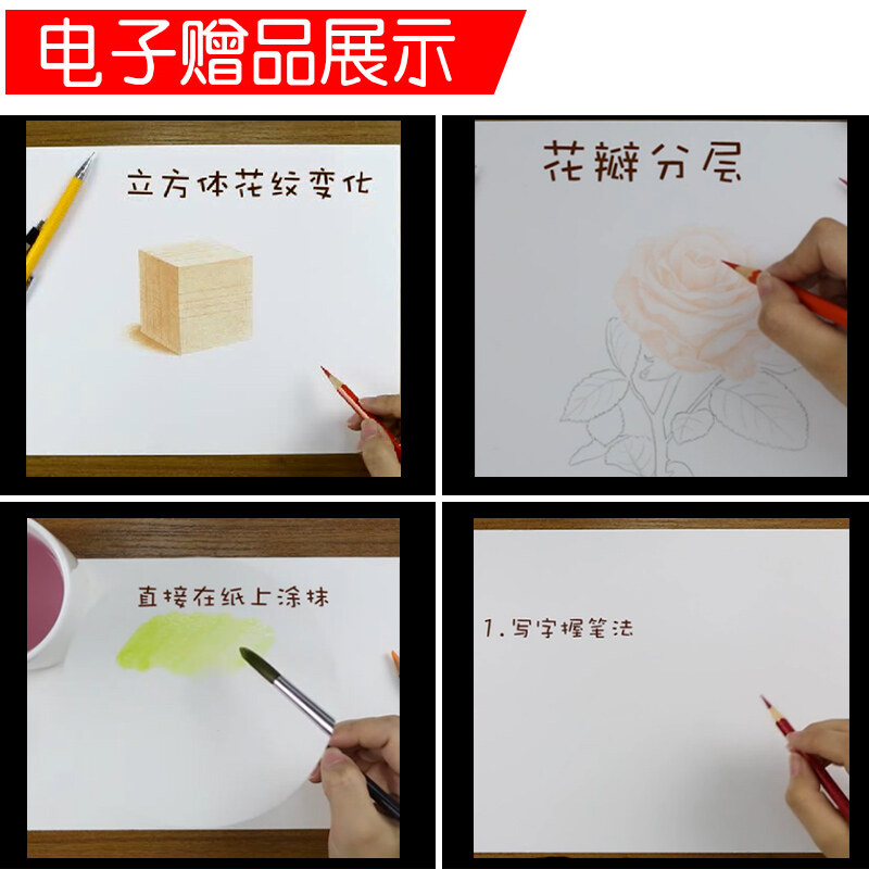 Introduction to Lead Painting Tutorial Book Flying Bird Color Pencil ...