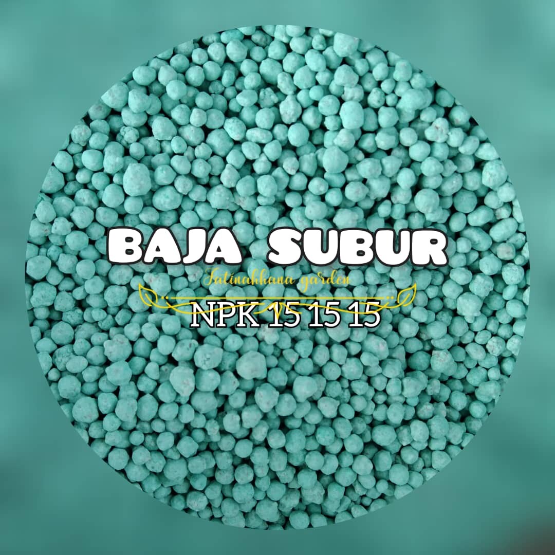 1KG BAJA SUBUR BAJA DAUN NPK 15 15 15 | Lazada