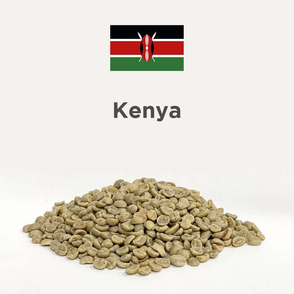UNROASTED Green Bean (KENYA AA) 200G/500G / 1KG | Lazada