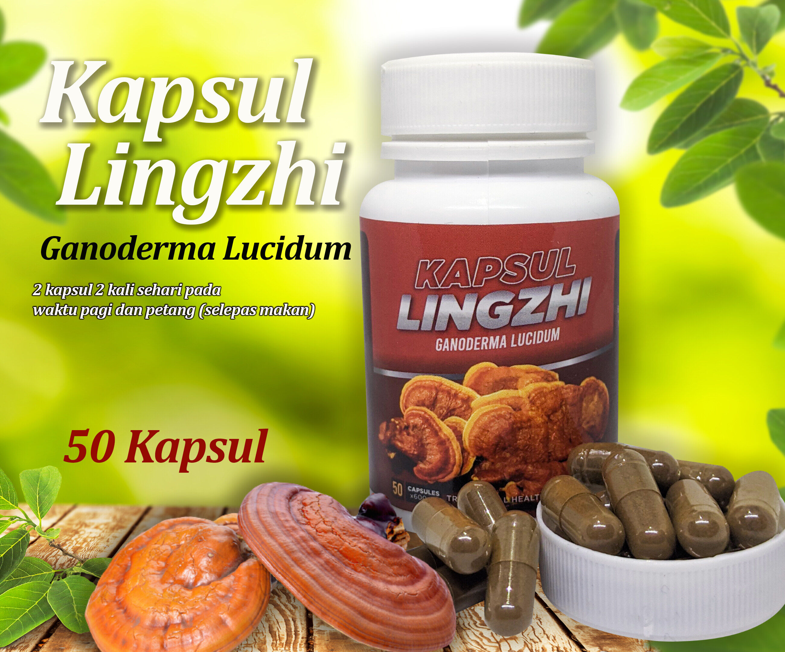 Lingzhi Kapsul Original Terbaik Grade A+ 50 Kapsul Ready Stock | Lazada