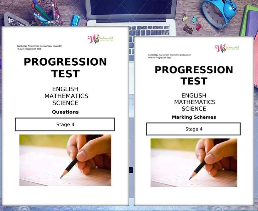 Primary Progression Test | Stage 4 | Lazada