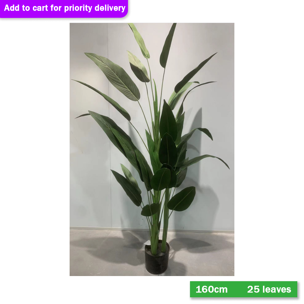 Garden Decoration Balcony Pokok Canna Murah Canna Indica Artificial ...