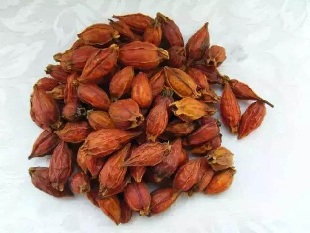 [GH Centre 贵和养生] Gardenia Jasminoides/ Buah Kuning/ 山栀子/ 黄栀子 [100g/200g ...