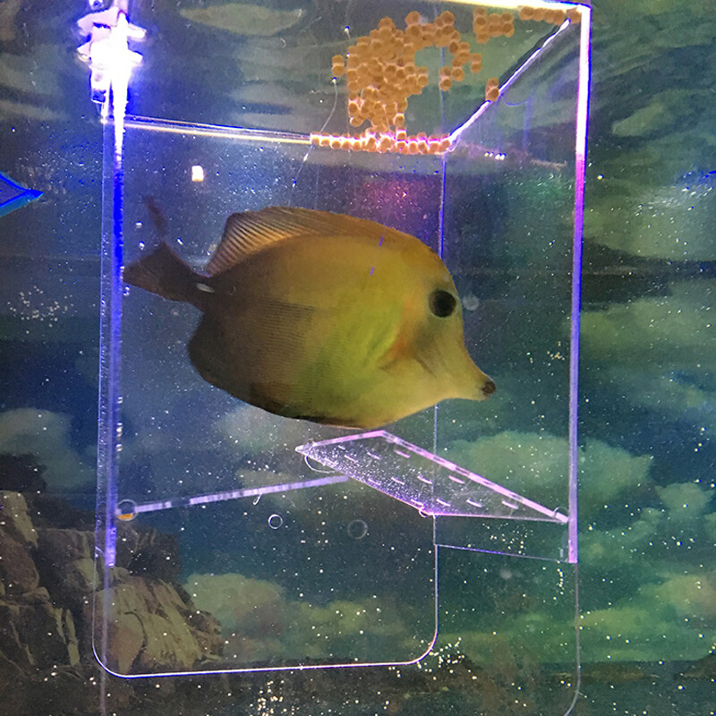 Catching fish trap box feeder fish tank isolation box feeding box ...