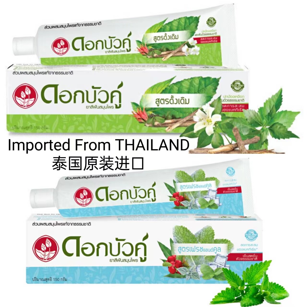 Thailand Dok Bua Ku Herbal Toothpaste Ubat Gigi 莲花牌草药牙膏 | Lazada