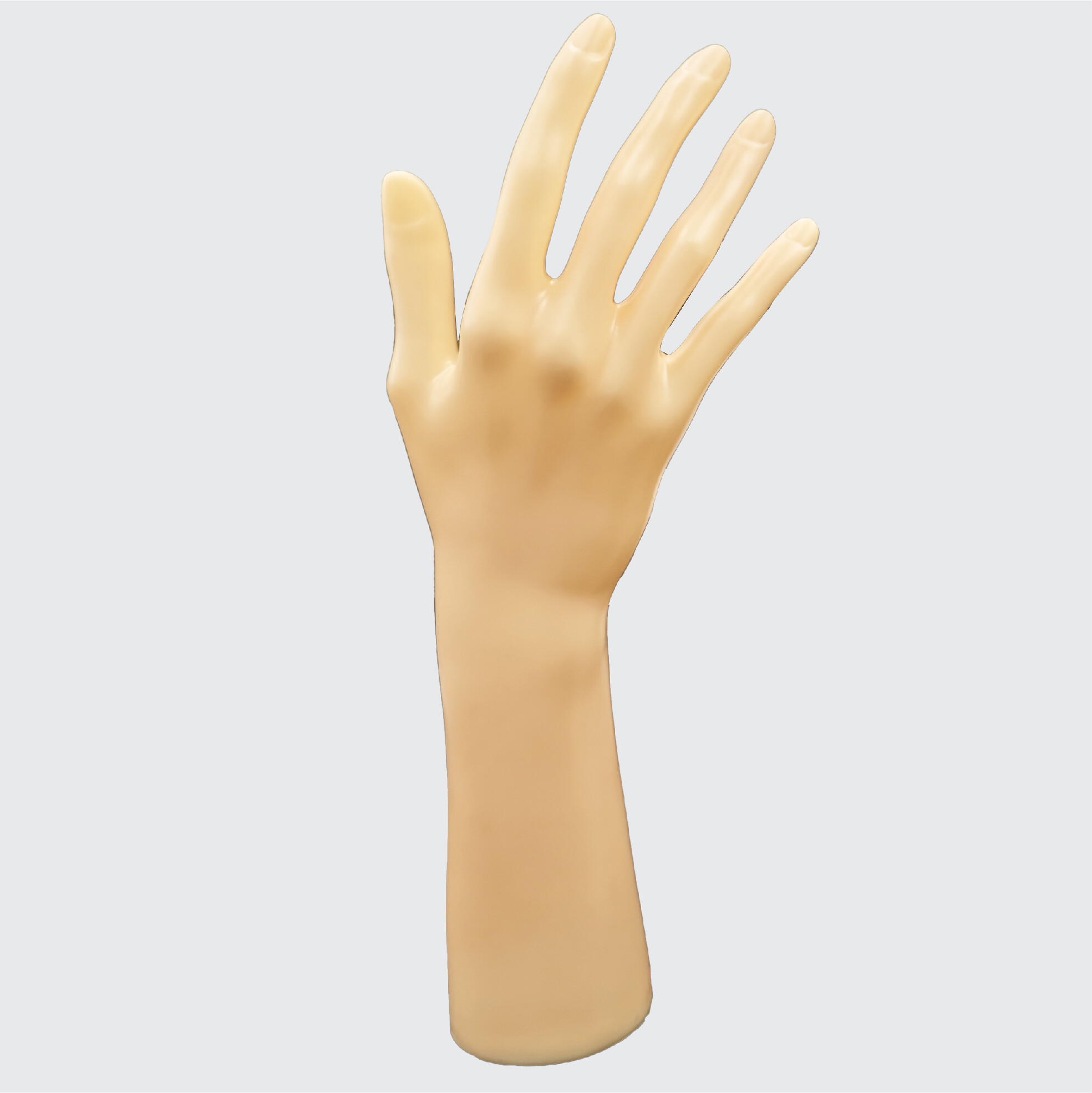 Female Hand Mannequin Display | Lazada
