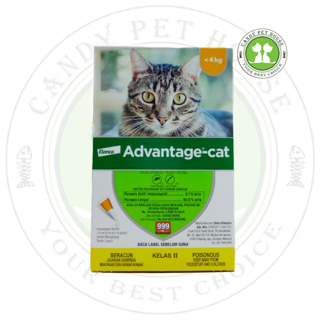 Elanco / Bayer Advantage Cat Spot On S ( Box - orange ) | Lazada