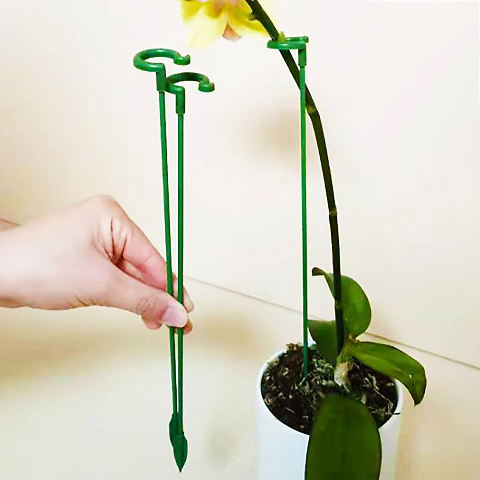 [Ready Stock] Plant Support Climbing Flower Stand Bracket Flowers ...