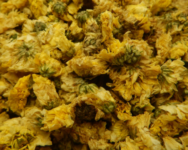 Tong Xiang Premium Chrysanthemum Flower 一等桐乡朵菊 Teh Bunga Kekwa Flower ...