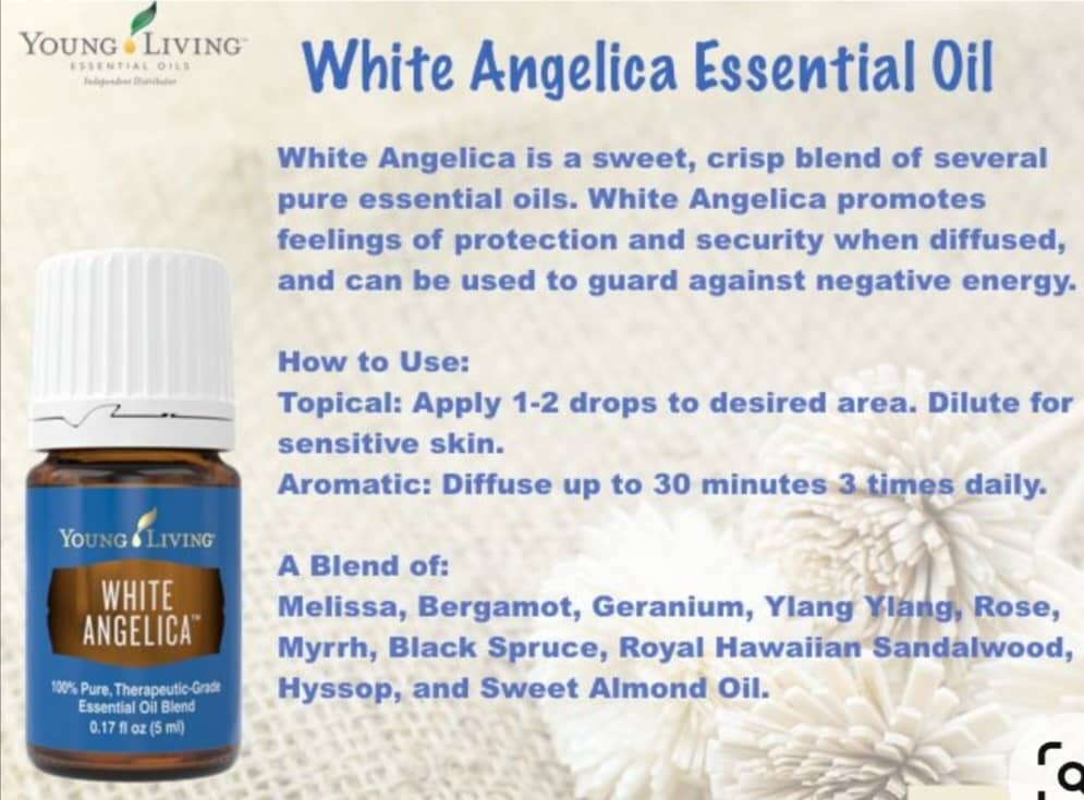 💯Original - Young-Livings White Angelica Essential Oil 5ml | Lazada