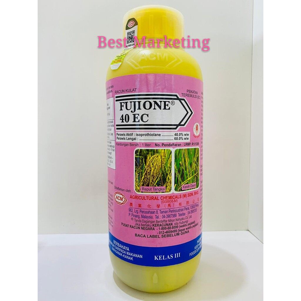 1LIT FUJIONE ACM/ Reput Tangkai/ Karah Daun | Lazada