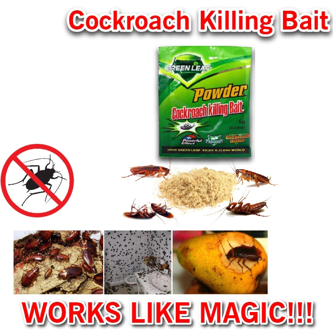 Pest Asia Ant Killing Eco Bait Ubat Semut Cockroach Killer Eco Gel Bait ...