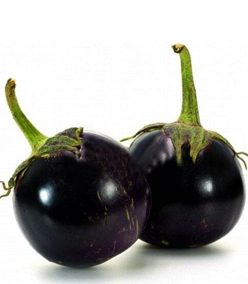 biji benih terung hitam(Boleh tanam dalam pasu) | Lazada