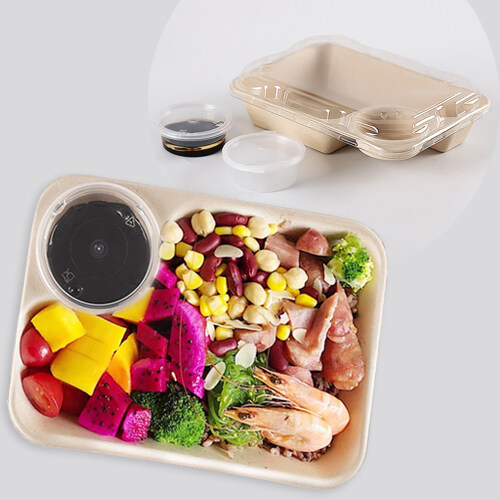 Disposable Bento Lunch box 2 Compartment Biodegradable Food Container ...
