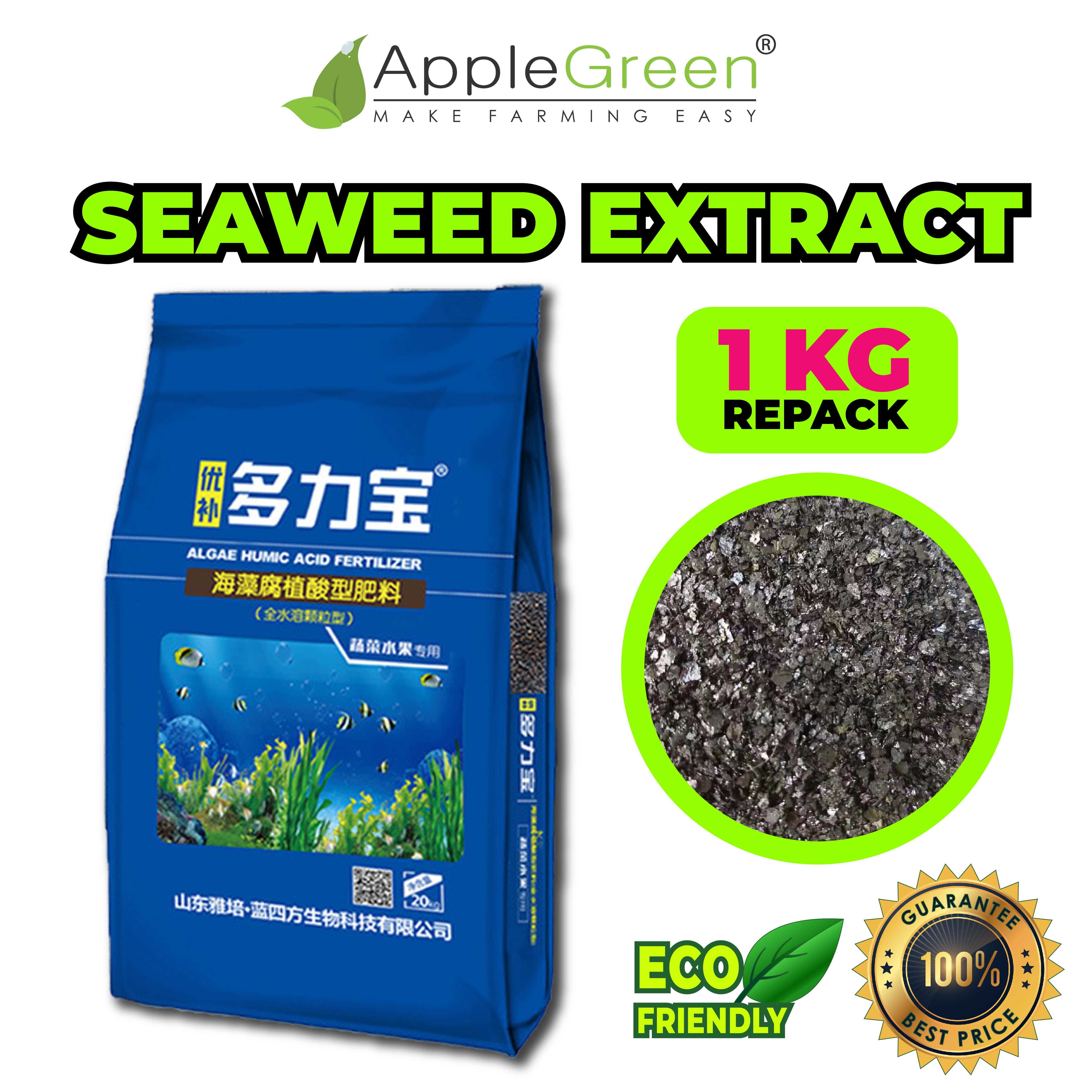 1 KG Seaweed Extract Fertilizer Powder Organic Fertilizer Alga Foliar Baja Rumput Serbuk Rumpai ...