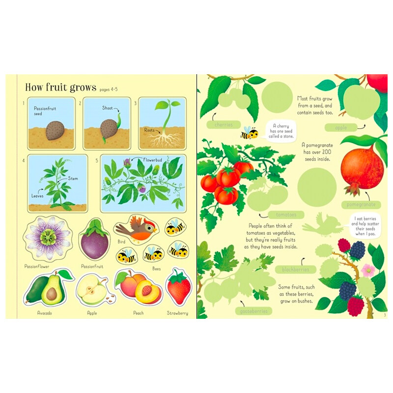 Children Books Usborne First sticker books Fruit and vegetables English ...