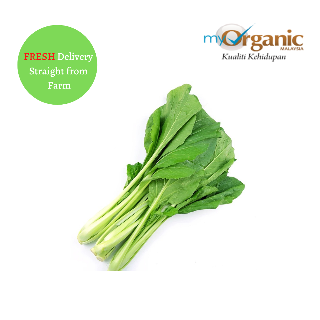 Organic Green Mustard (Sawi) Cameron Highlands 金马仑有机菜心 (Delivery Friday ...