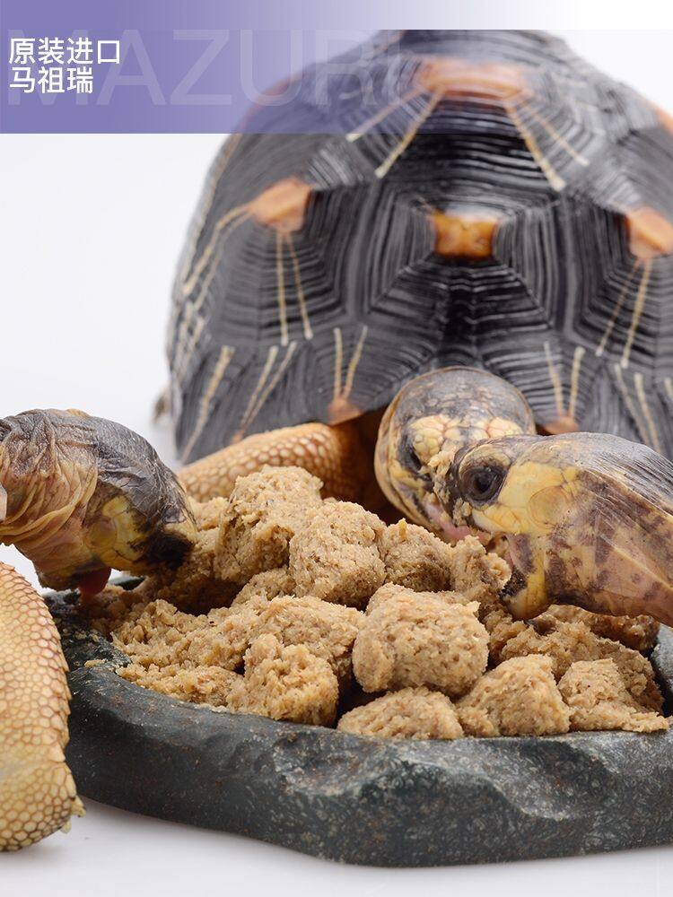 Mazuri 5M21 tortoise food | Lazada