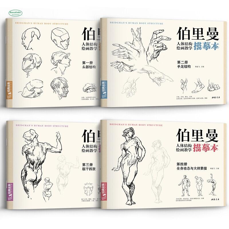 Sketch Character Structure Drawing Practice Tutorial Textbook Figure ...