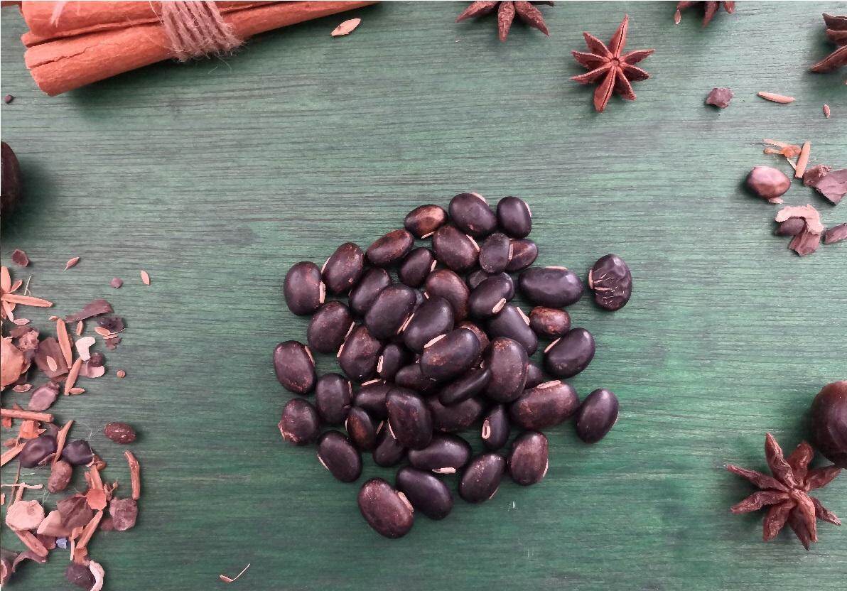 Mucuna pruriens seeds 100g / Poonaikali vithai | Lazada