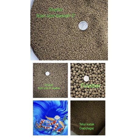 PALLET MAKANAN IKAN AIR 20KG TAWAR KELI TALAPIA PUYU DAN LAIN | Lazada