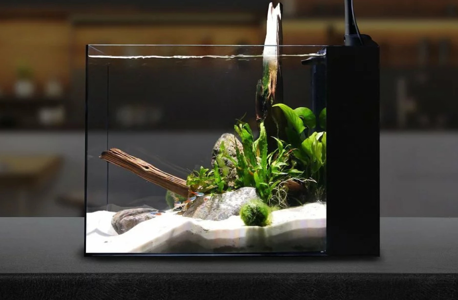 Waterbox Aquariums Peninsula Mini 25 | Lazada