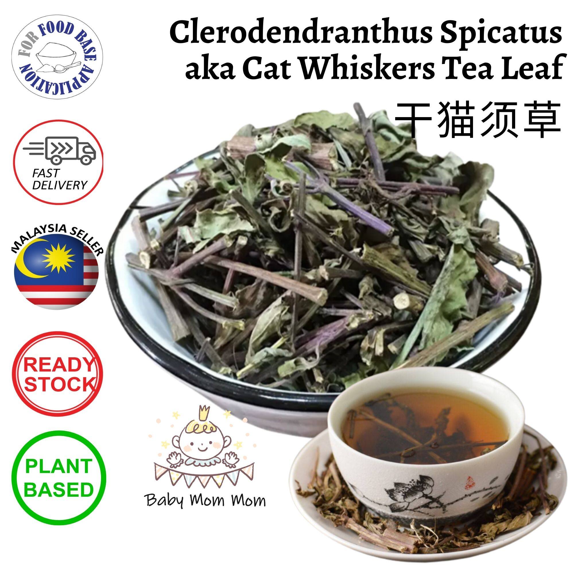 Cat whiskers Tea Leaf 猫须草/ Misai Kucing ( Original Asli ) Teh Misai ...