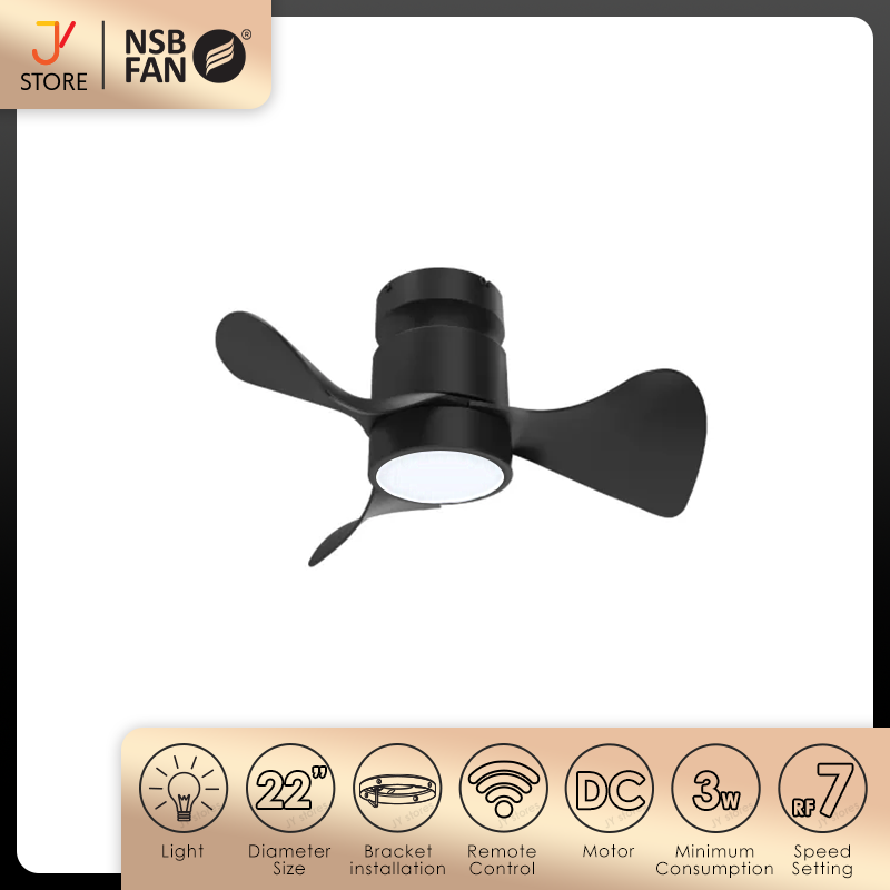 NSB 22" Kelly Ceiling Fan DC Motor | Lazada