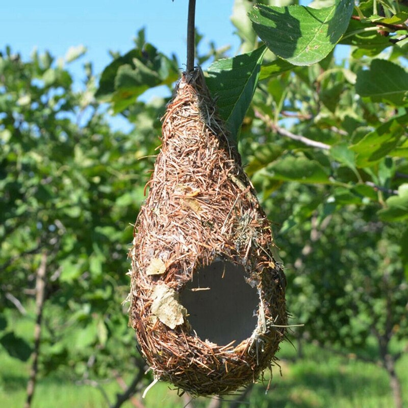 Set of 4 Bird Birdhouse for Outside Hanging, Grass Hand Woven Bird Nest ...